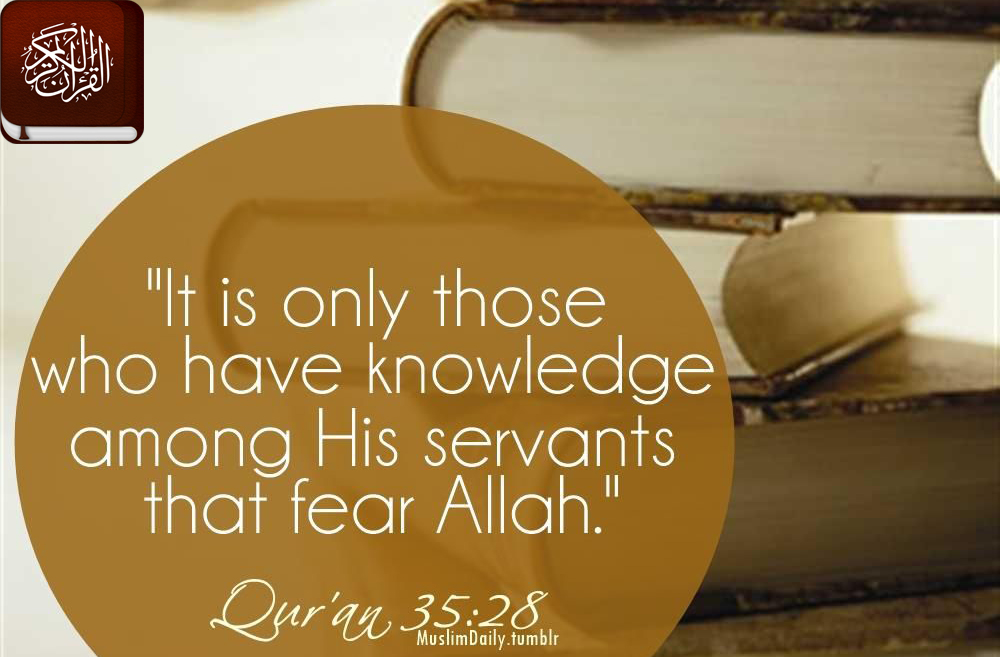 The Quran Knowledge's : Articles