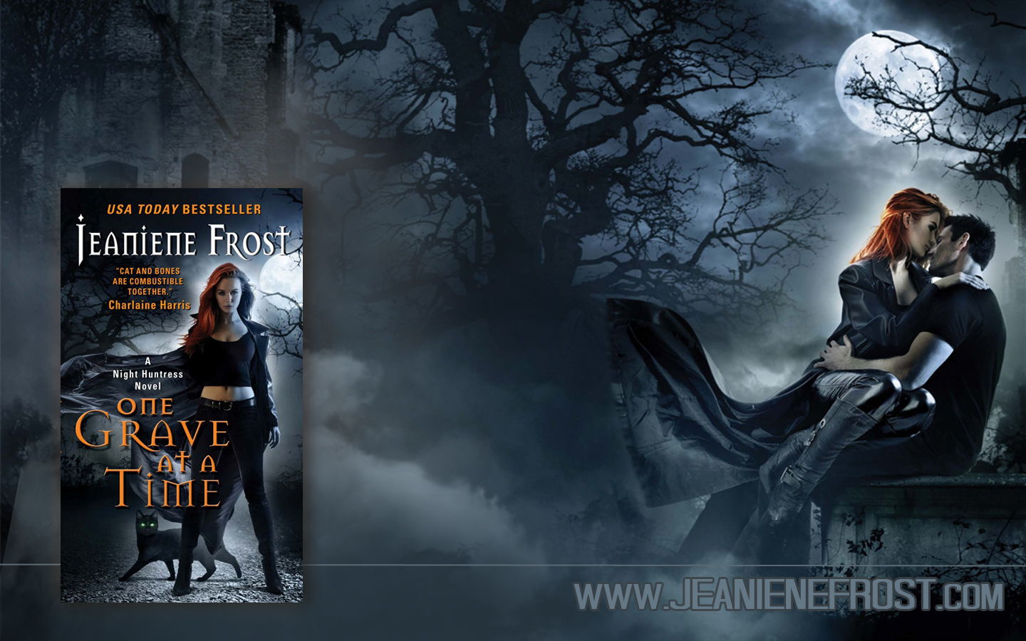 Les lectures de Nyx: Night Huntress - Chasseuse de la Nuit T.6 : One ...