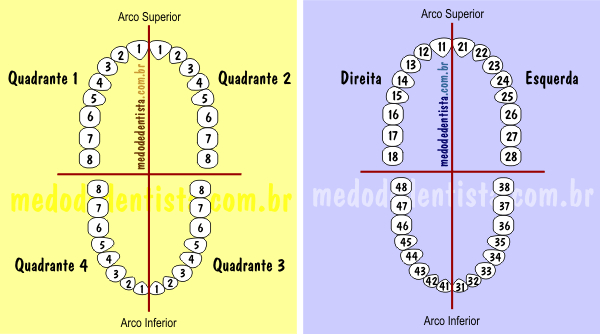 ESTUDOS SOBRE PRÓTESE DENTÁRIA: NUMERAÇÃO E NOMENCLATURA DOS DENTES