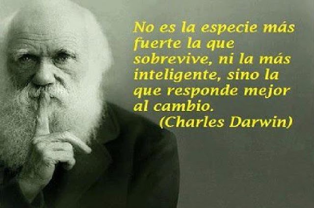 Despertando Conciencias: Adaptarnos a lo que hay