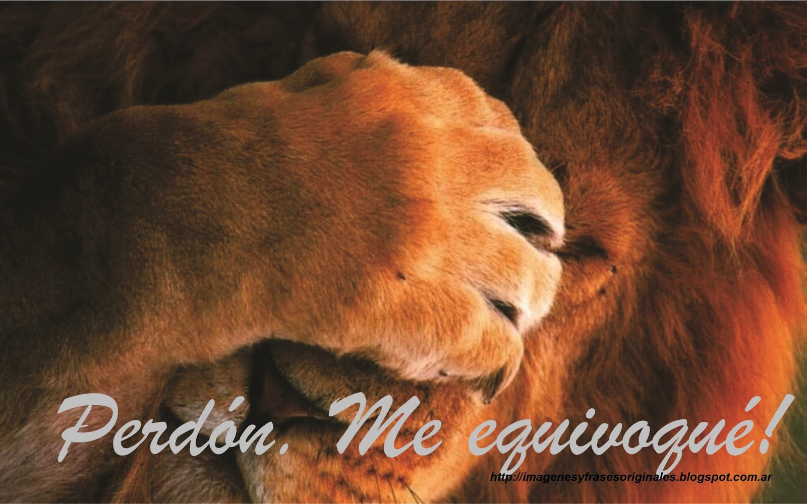 Imágenes y Frases para Ti.: Perdón. Me equivoqué.