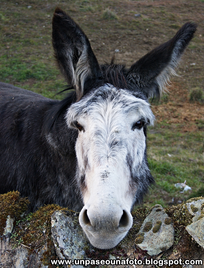 Un paseo,una foto: Villadepera (Zamora)