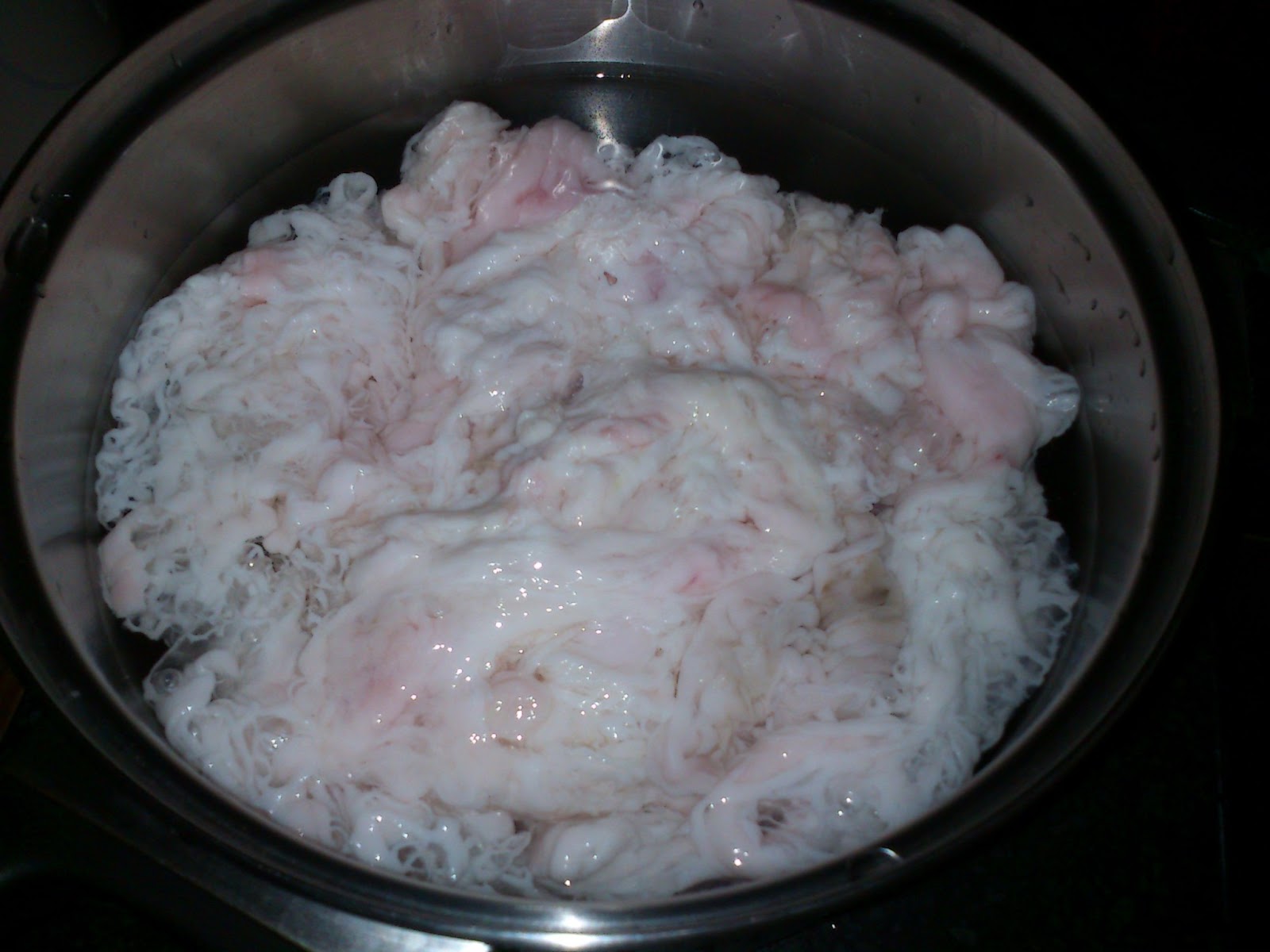How to Prepare Caul Fat What is this fatty membrane