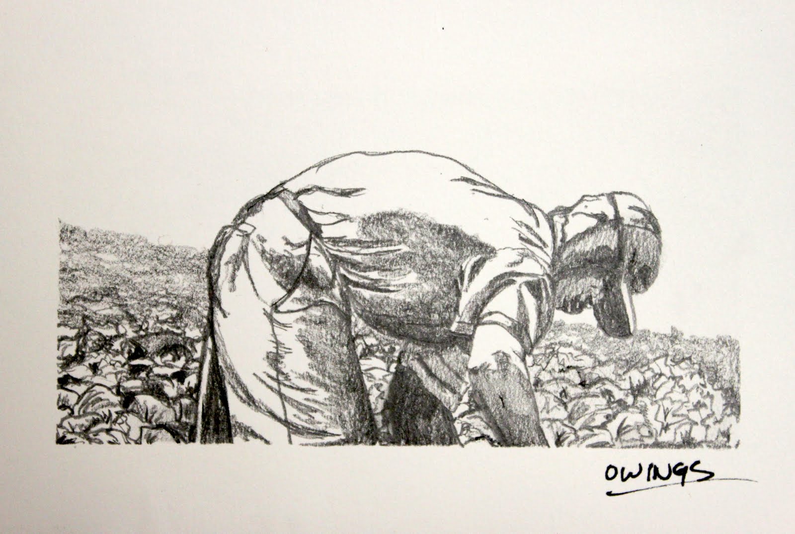 Owings Art Studio: Sketchbook Drawings - Migrant Worker