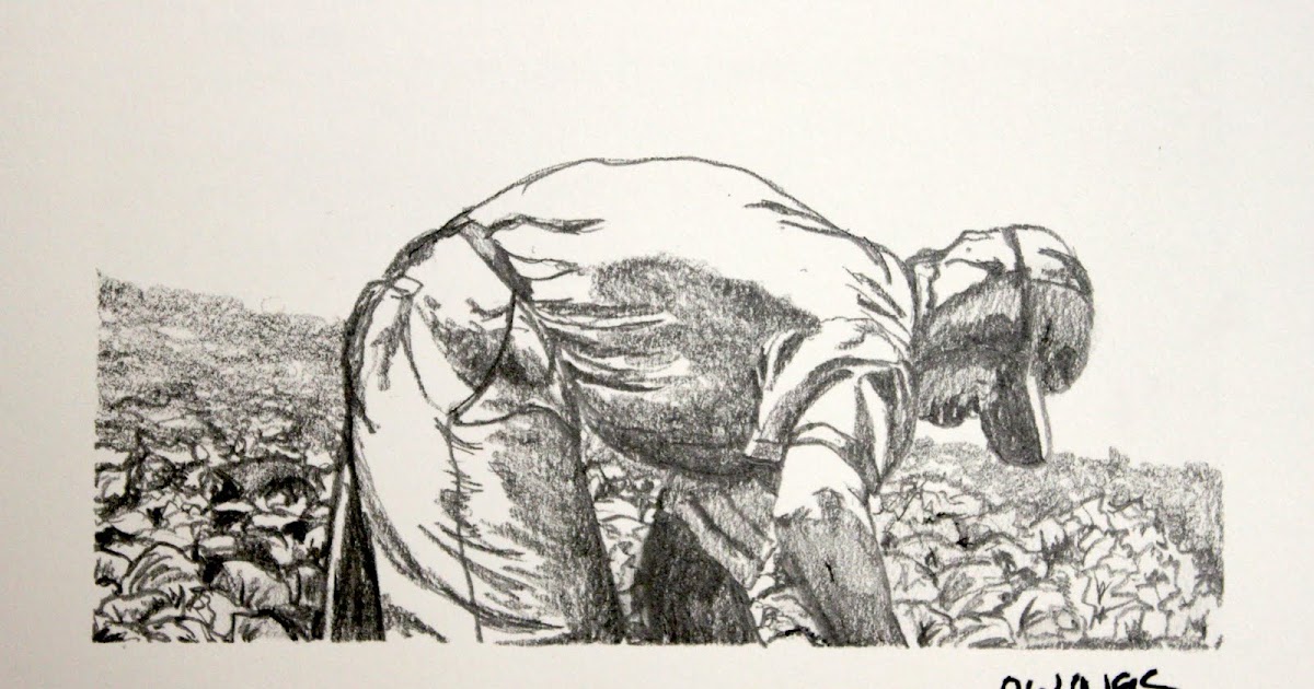 Owings Art Studio: Sketchbook Drawings - Migrant Worker