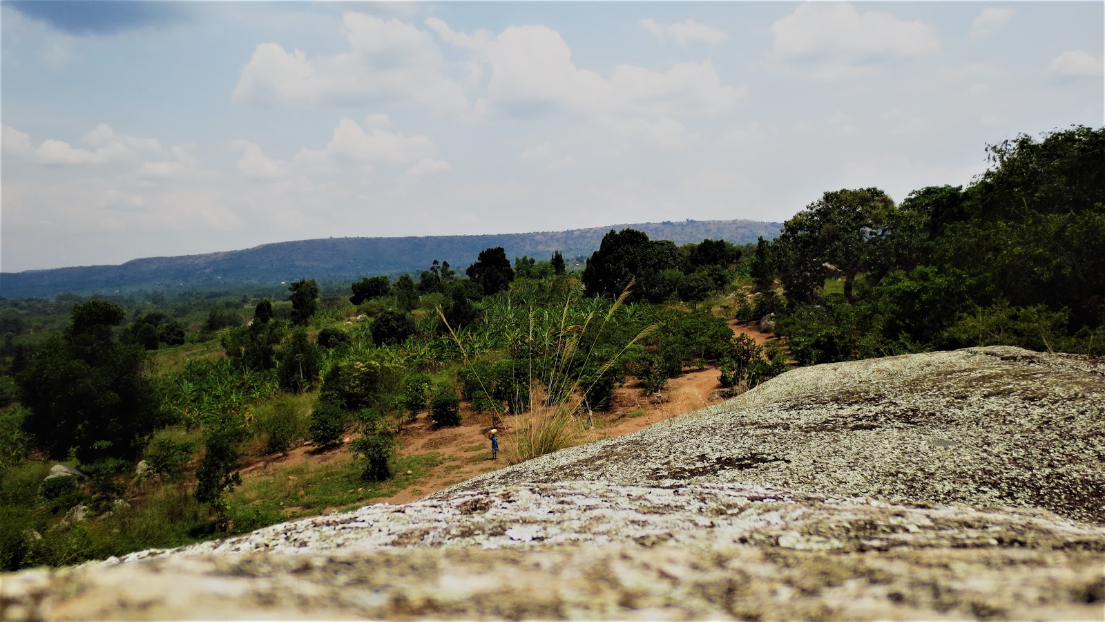 Welcome: Uganda - Fourth week