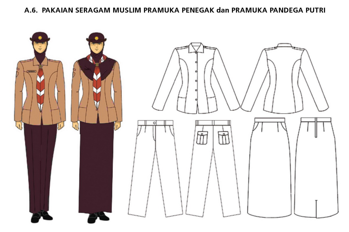 Mengenal Pramuka Pandega - Pandu