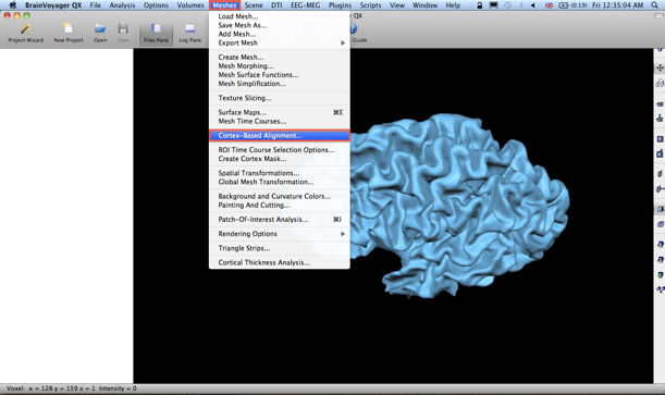 Neuroimaging Made Easy : Brainvoyager QX tips and tricks 1; Some ...