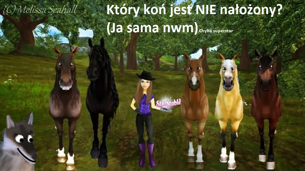 Star Stable Online Mel: Rysunki :D