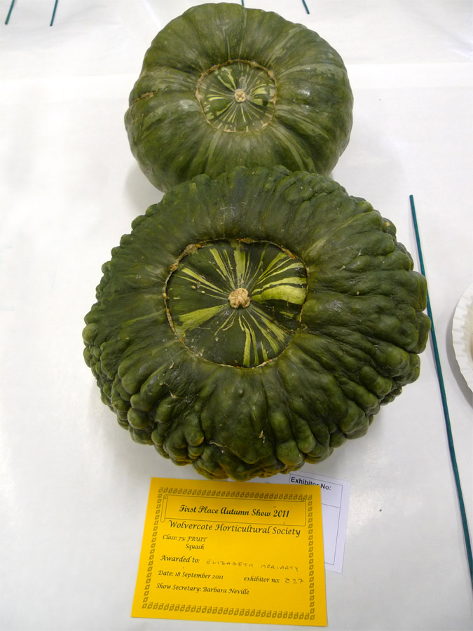 oxfordpomona: Village Show - fruit categories