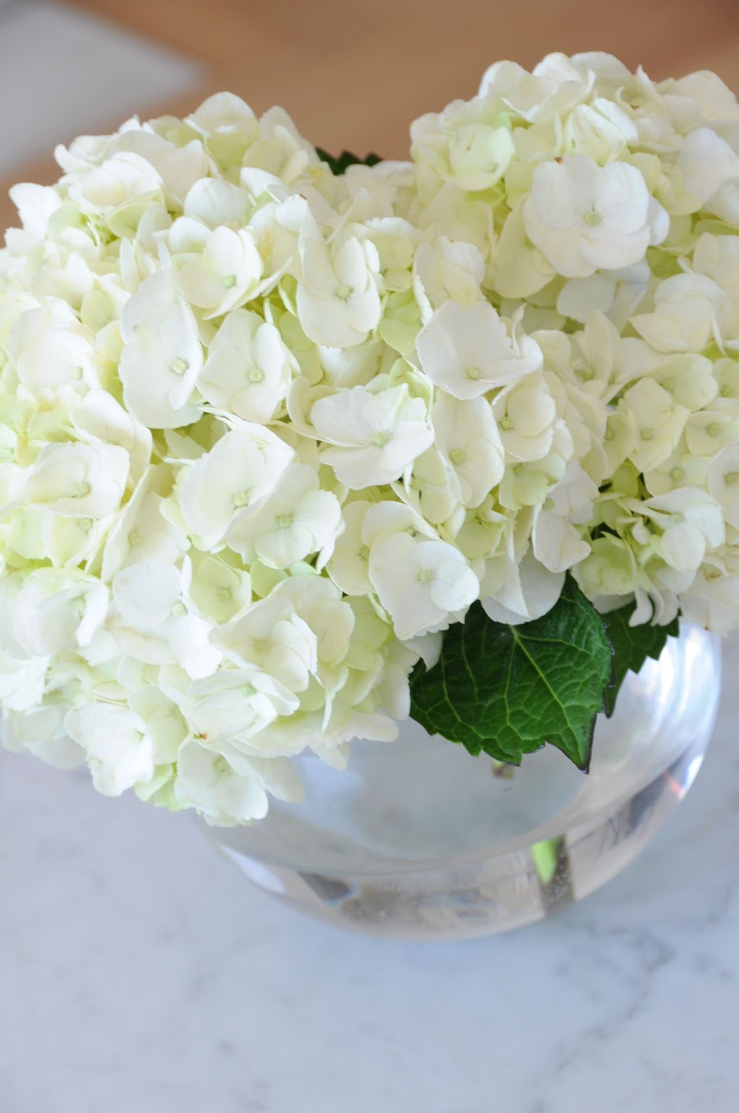 deliciously organized: + HOW TO REVITALIZE WILTED HYDRANGEAS