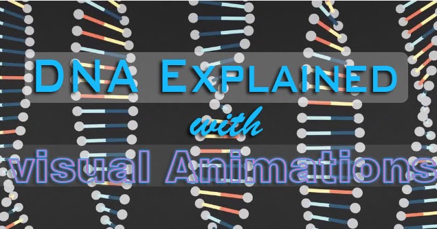 DNA Explained using visual animations - Ratta.pk