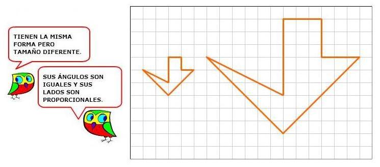 ¿Se pueden entender las matemáticas? : La semejanza de figuras y sus ...