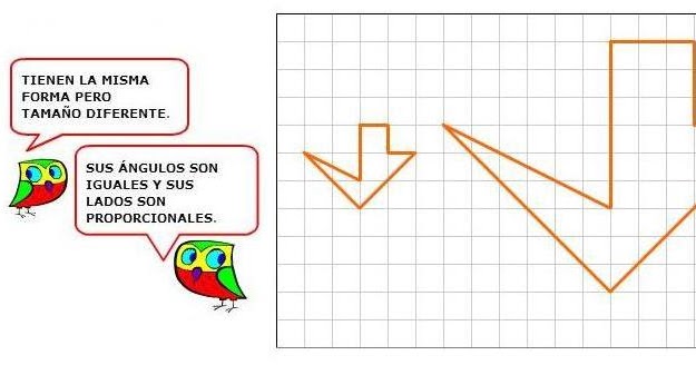 ¿Se pueden entender las matemáticas? : La semejanza de figuras y sus ...