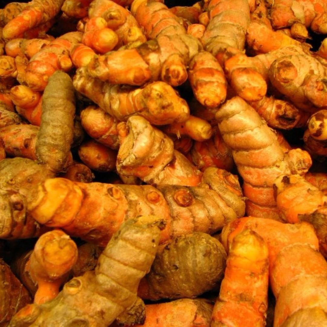 Jamu atau Obat Tradisional Ayam Bangkok | KING ROOSTER FARM