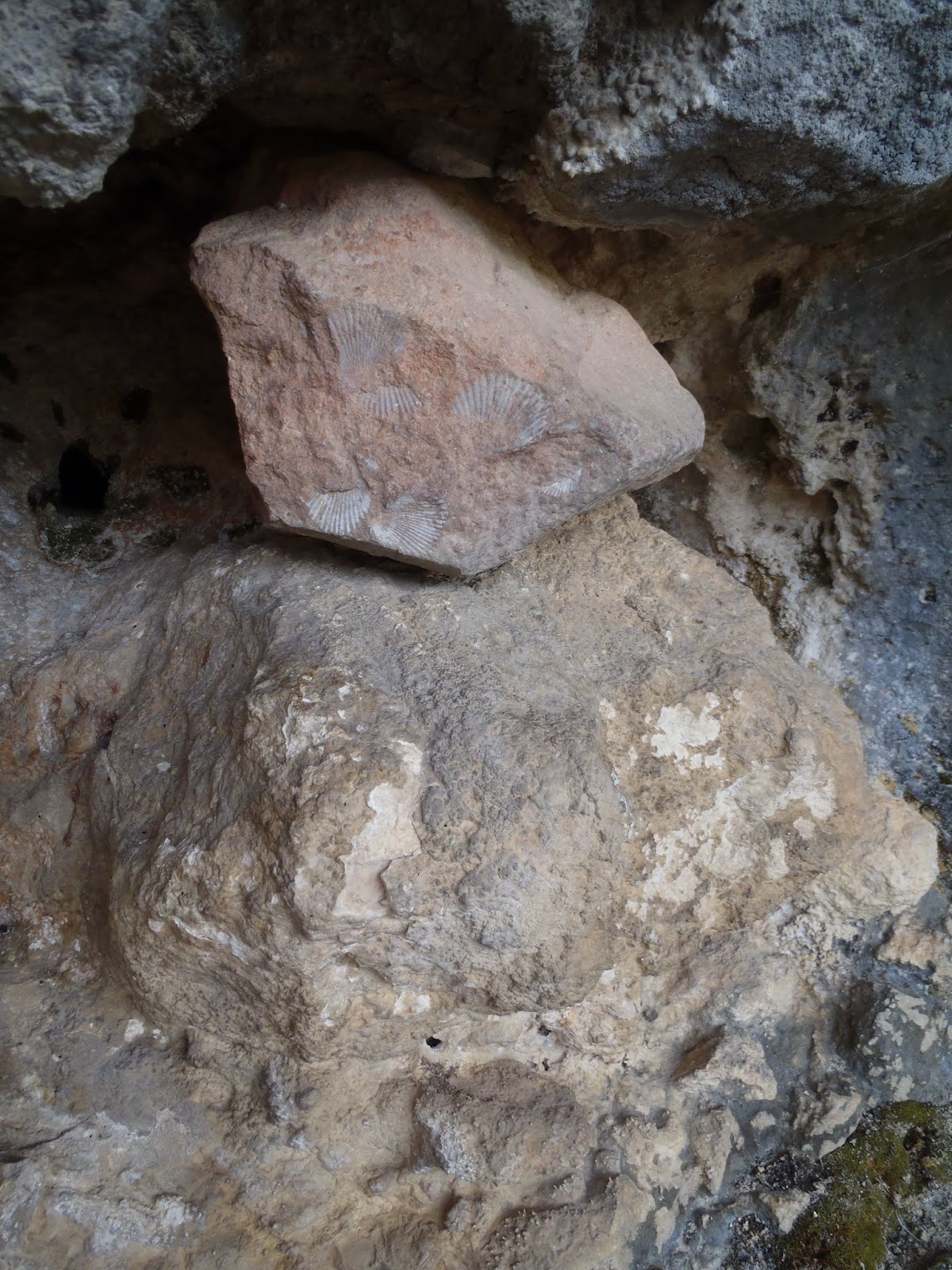 El Valle de Rodellar: A PIATRA. Pastores fuera de a Valle