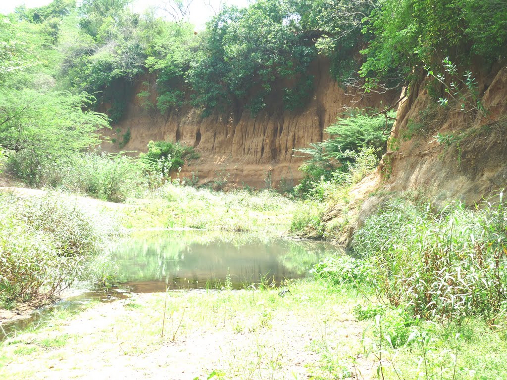 Tamilnadu Tourism: Amirthi Forest & Zoological Park, Vellore