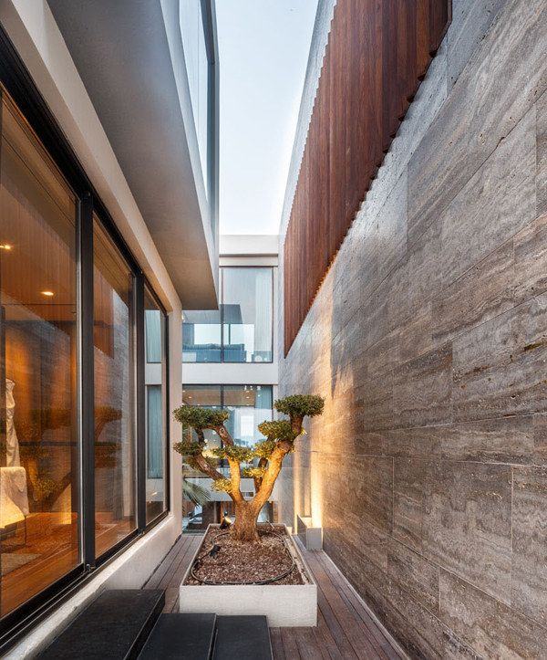 Casas Minimalistas y Modernas: Patios Modernos y Minimalistas