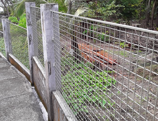 PHILIPPINE DESTINY: Safety And Security Practices For Expats In The ...