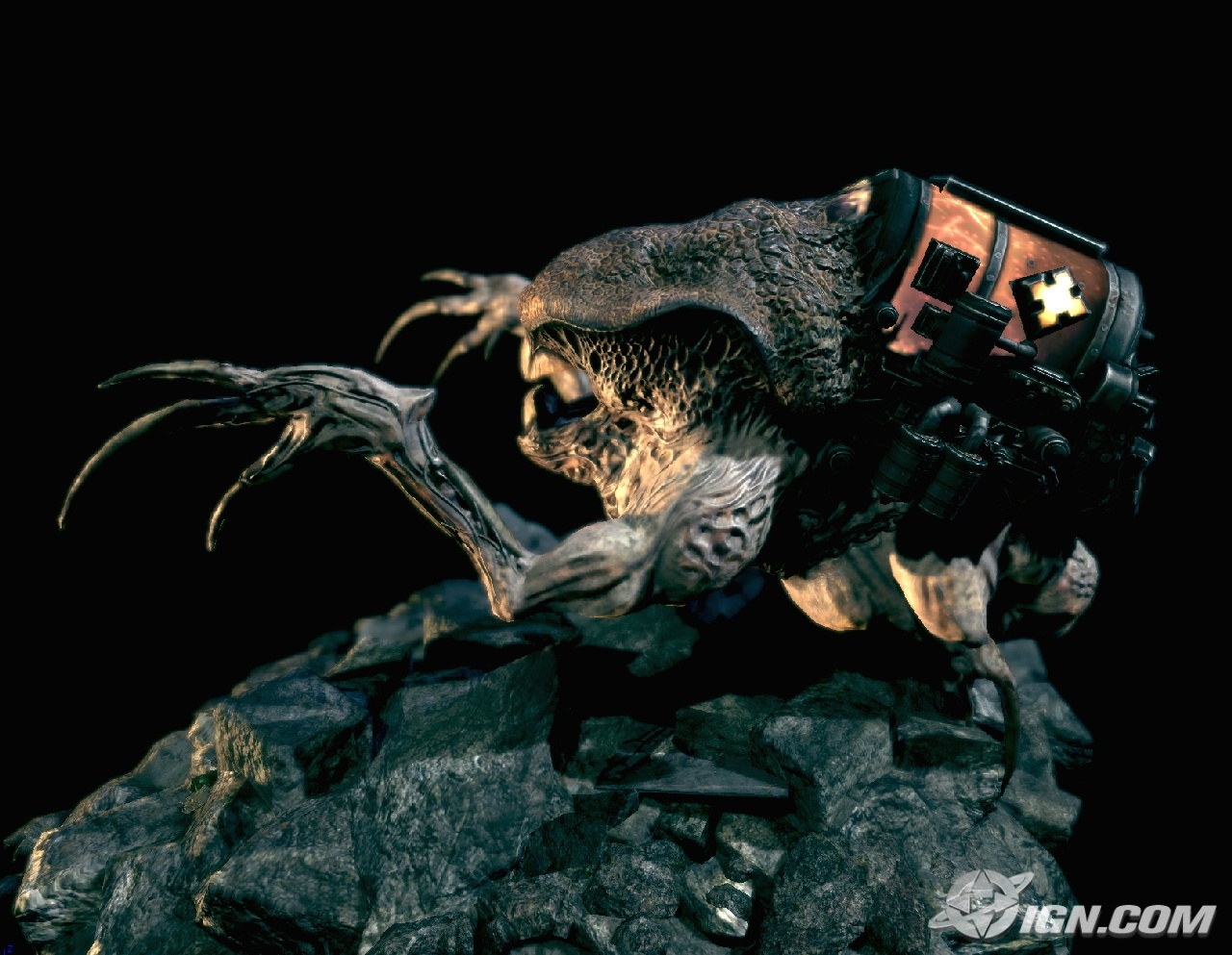 RED ZONE: Geras of war ,Miembros de la Horda Locust