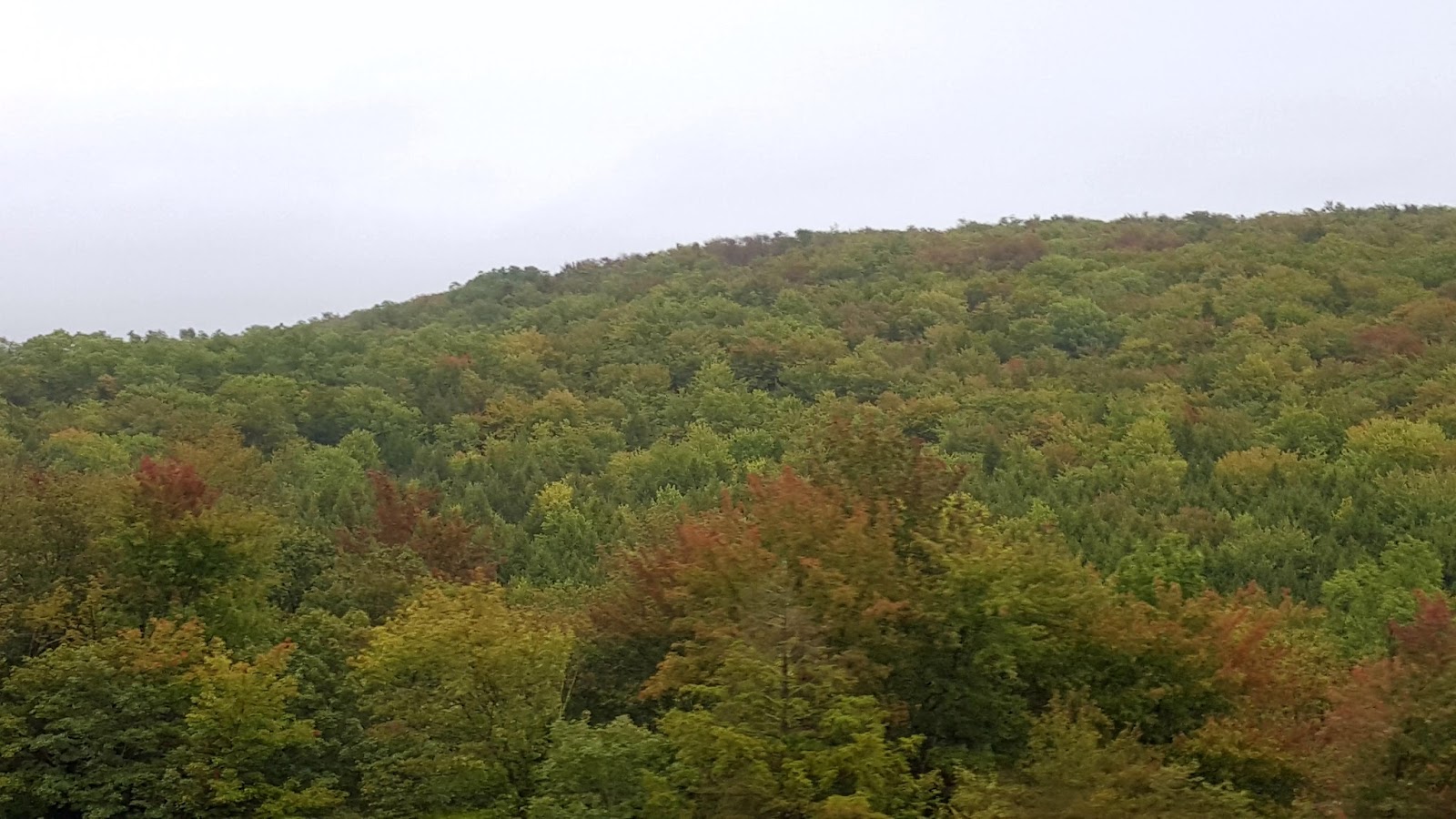 Valley Girl Views: Road Trip - Wellsboro & The PA Grand Canyon.
