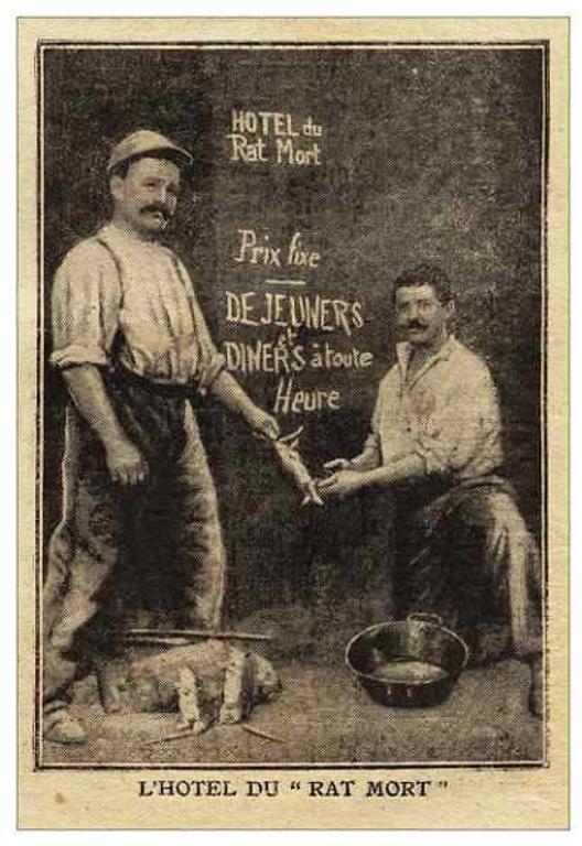 Military History Of the 20th Century: Trench Rats Of World War 1photo 2