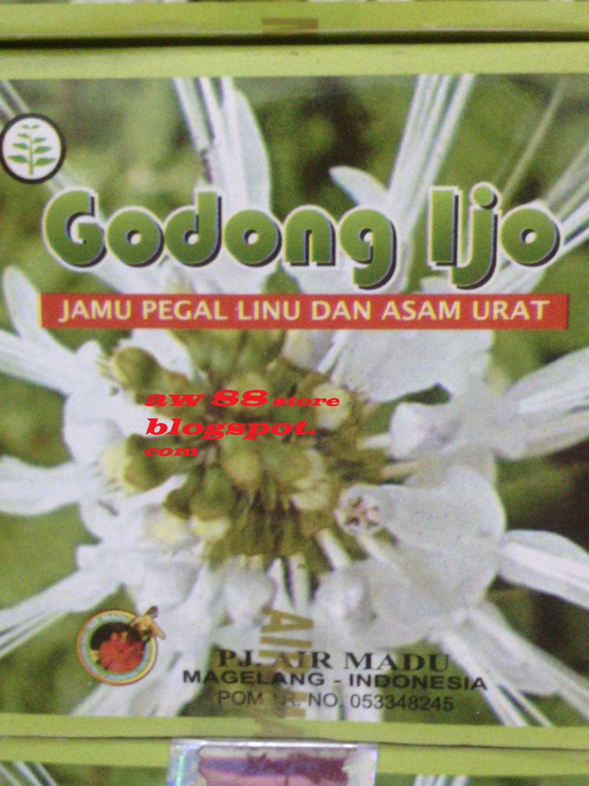 AW 88 Online Store: KAPSUL GODONG IJO