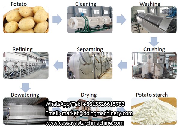 Extraction of starch from potato procedure