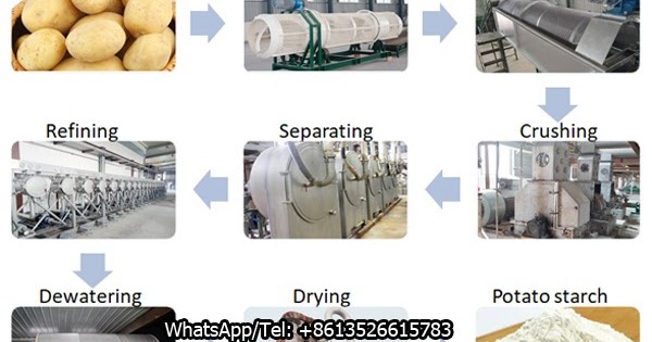 Extraction of starch from potato procedure