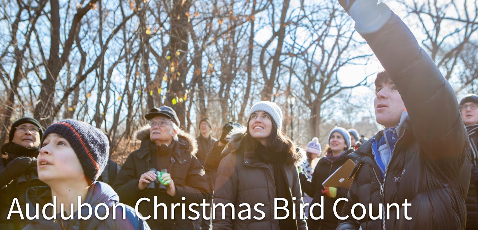 PA Environment Digest Blog: Citizen Science Opportunity: Join Audubon’s ...