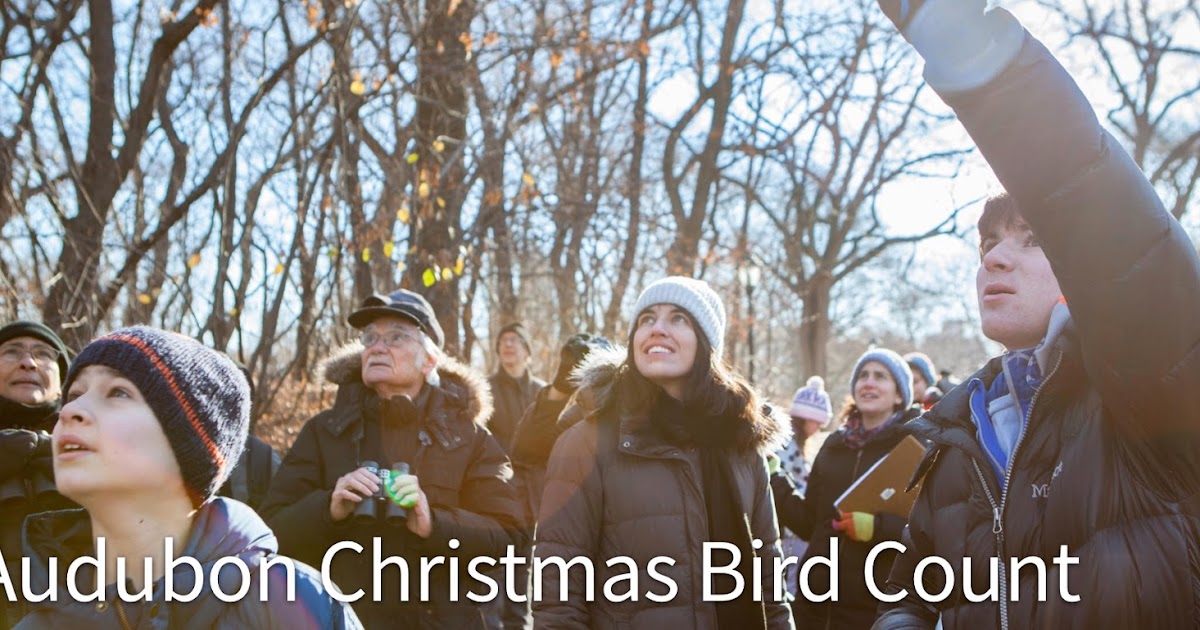 PA Environment Digest Blog: Citizen Science Opportunity: Join Audubon’s ...