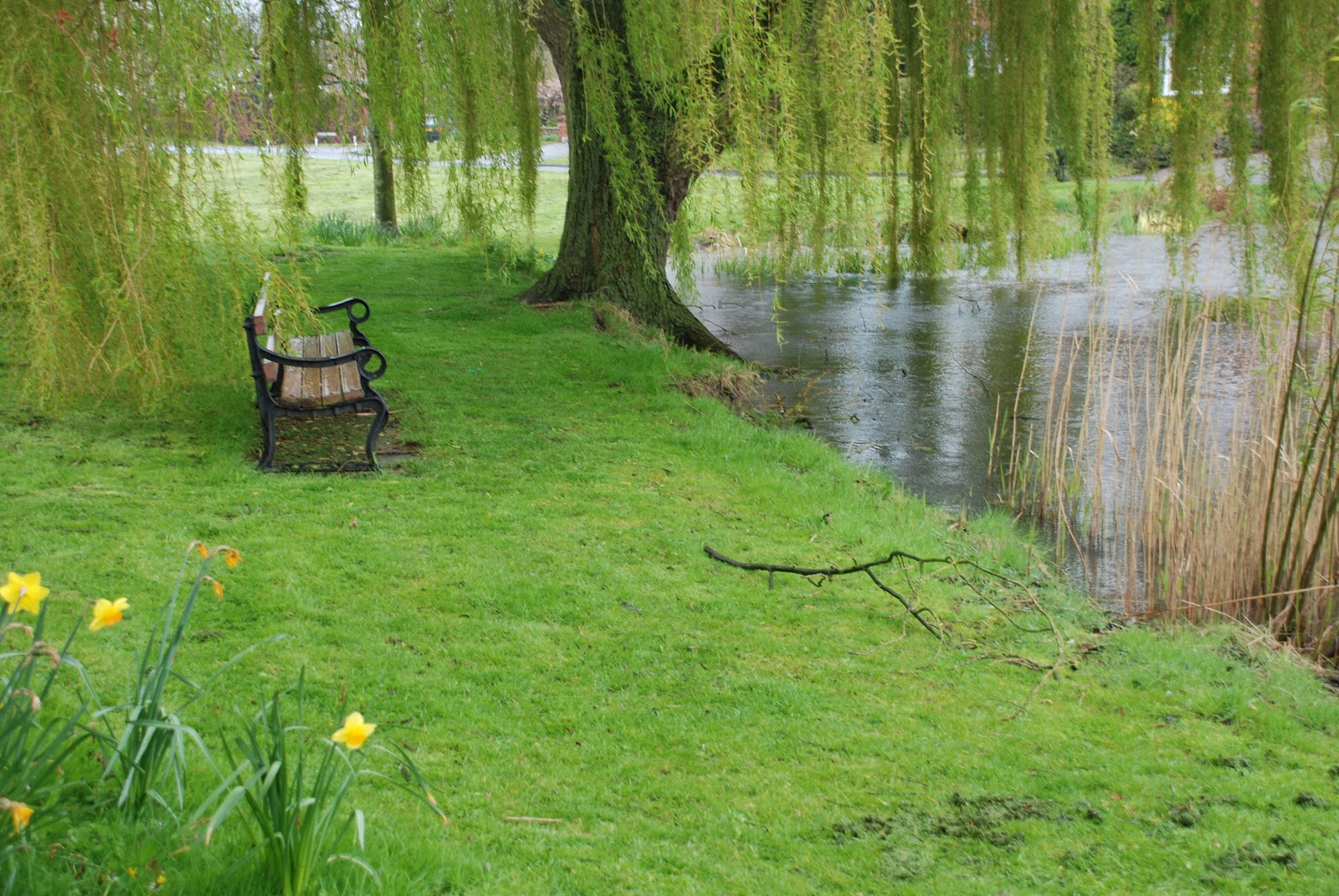 York Walks: Skipwith Common