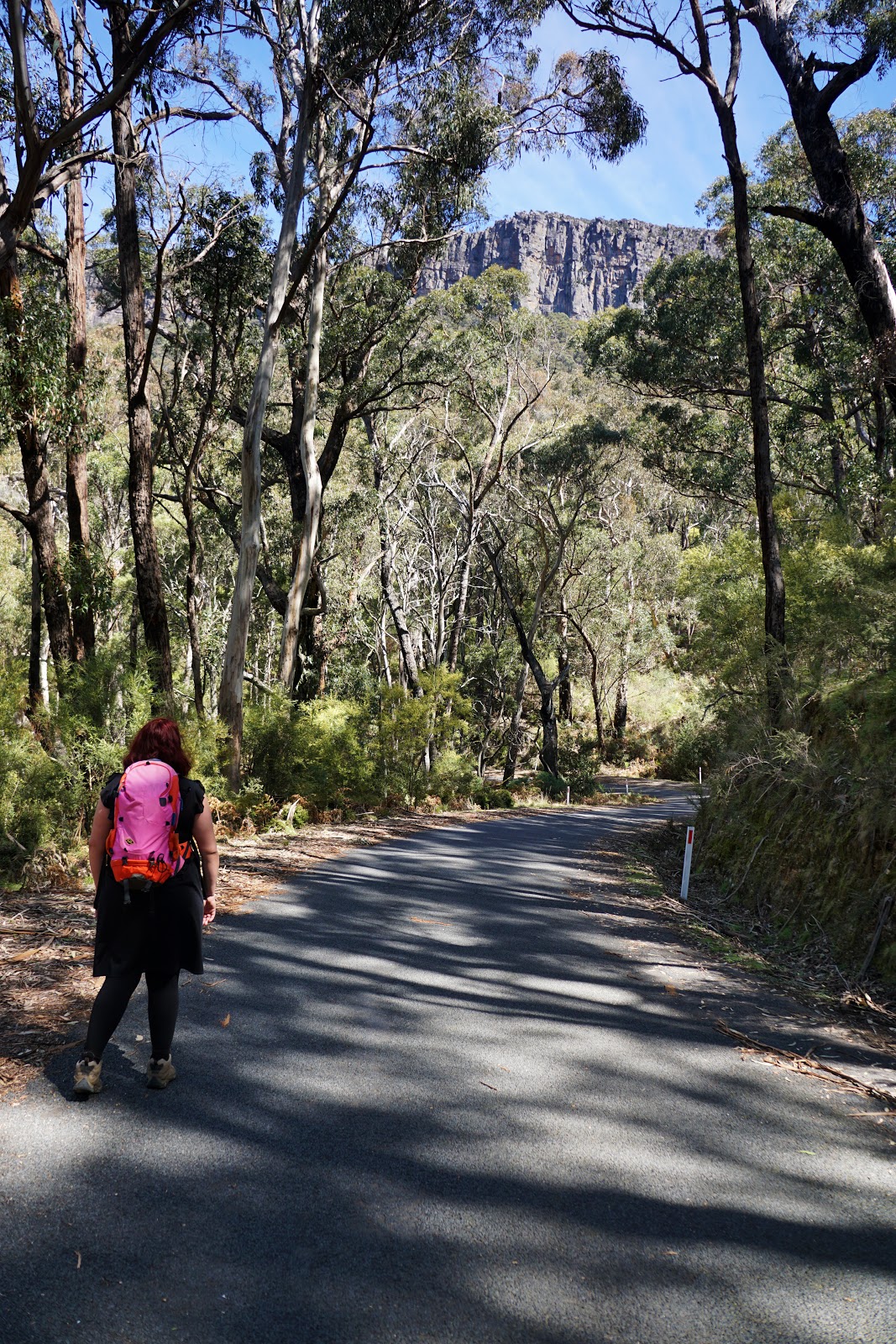Mt Rosea Loop (Grampians National Park) ~ The Long Way's Better