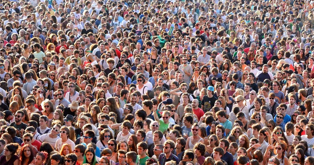 Curioseantes: ¿Sociales o gregarios?