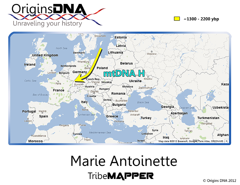 Origin Hunters - Genetic Genealogist: Marie Antoinette: DNA Family History