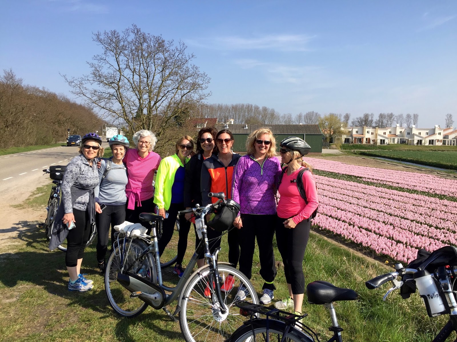 Curiouser and Curiouser: Biking in the Netherlands