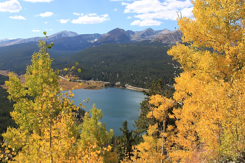 zimmerhouse: Boreas Pass -- Fall Foliage