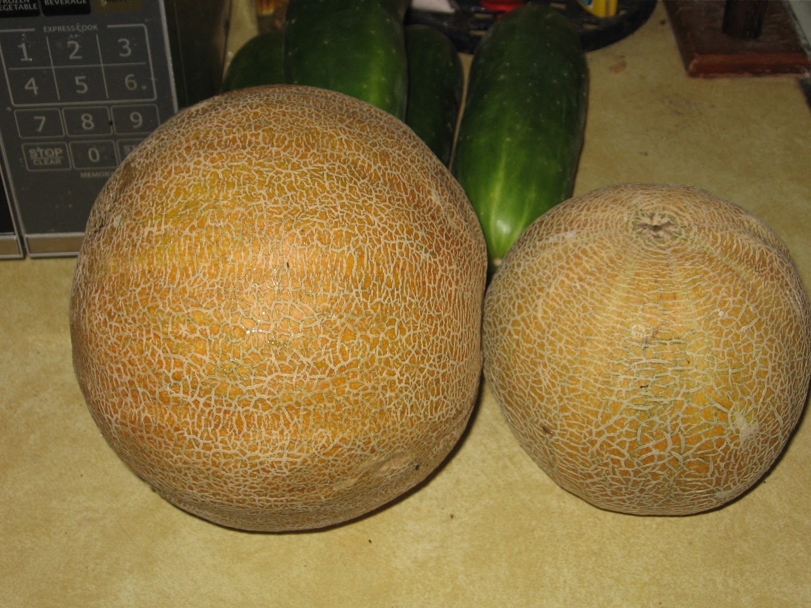 Kansas Gardener: Marvelous Melons
