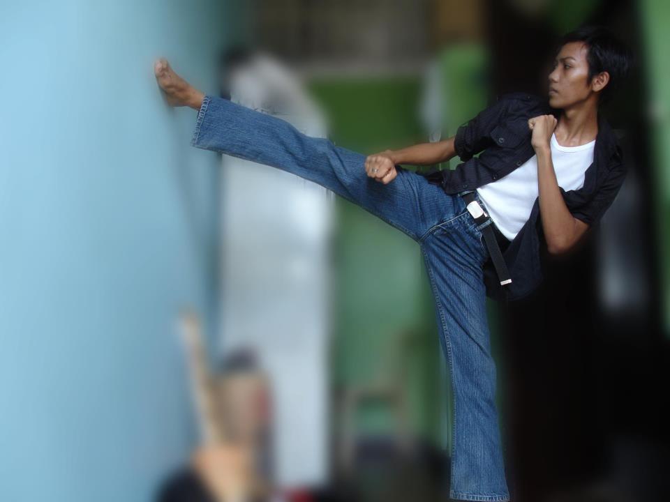 Sikaran Eskrima Taekwondo: Taekwondo Promotion