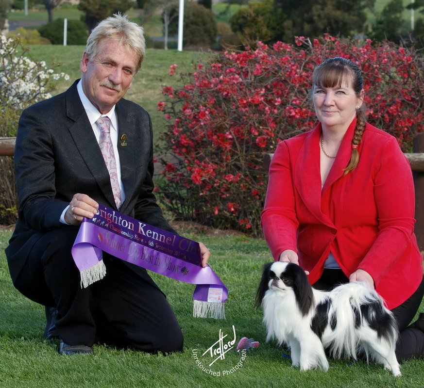TraffordPhotos - Australian Dog Show Photos: September 2014