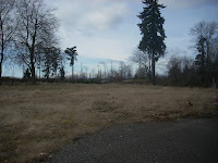 Stalking Seattle: The Green River Killings