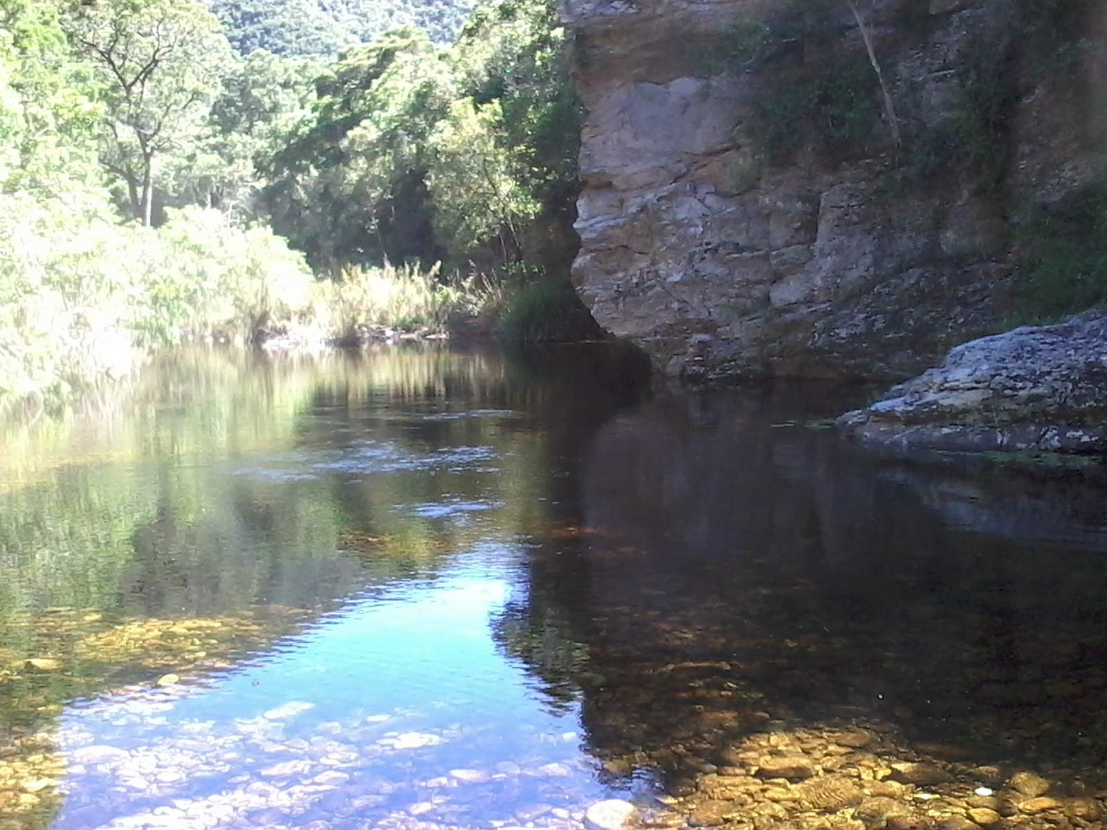 PETER GIDDY.: GROENDAL RESERVE AND BLINDEKLOOF HIKING TRAIL