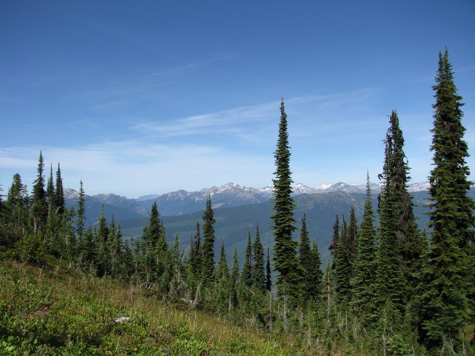 Wanderlust: Eva Lake: Revelstoke National Park