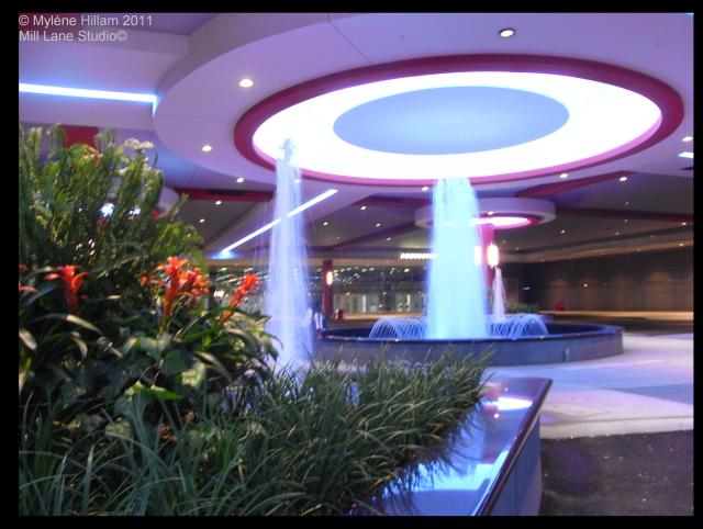 CHA Chicago, Here I Come! | Mill Lane Studio