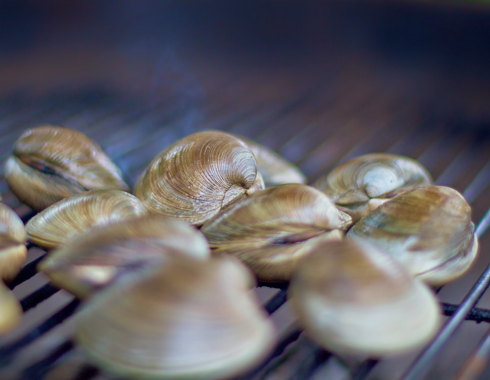 Grilled Clams with White Wine and Butter » Local Food Rocks