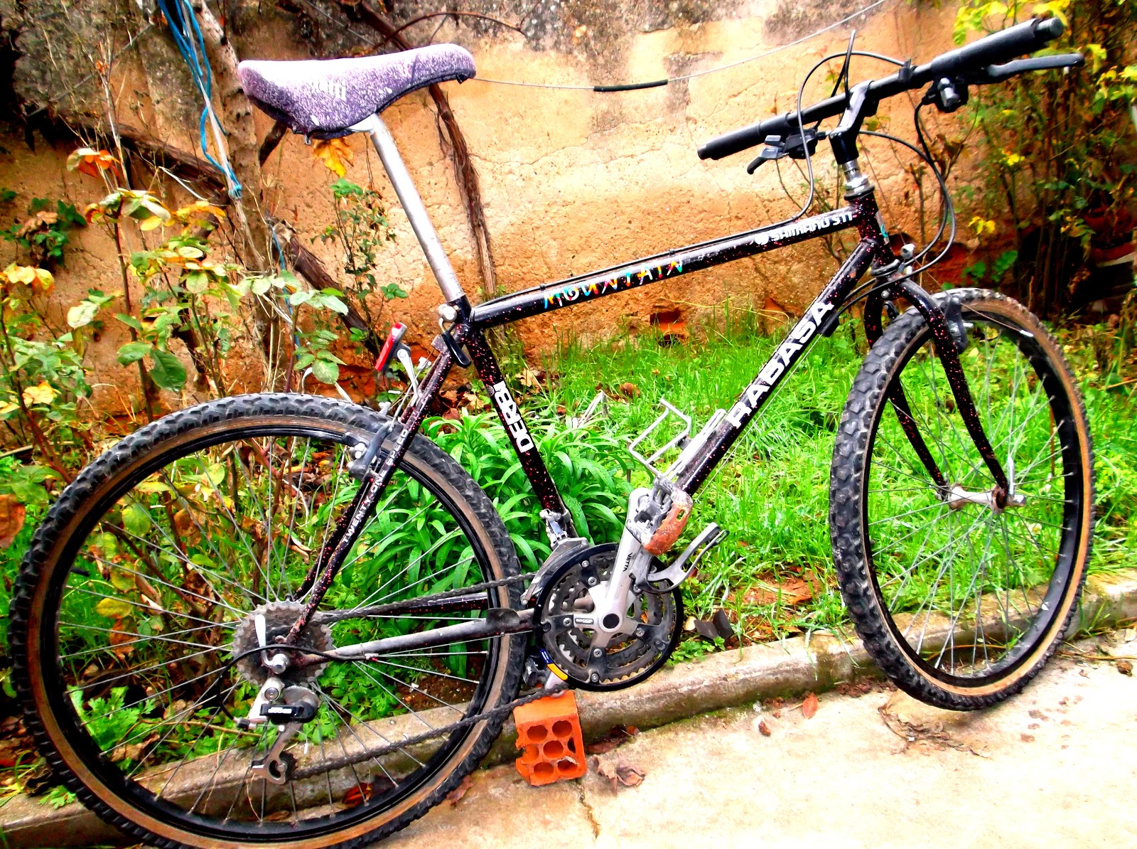 VINTAGE CYCLES DESIGN: RABASA DERBI MOUNTAIN