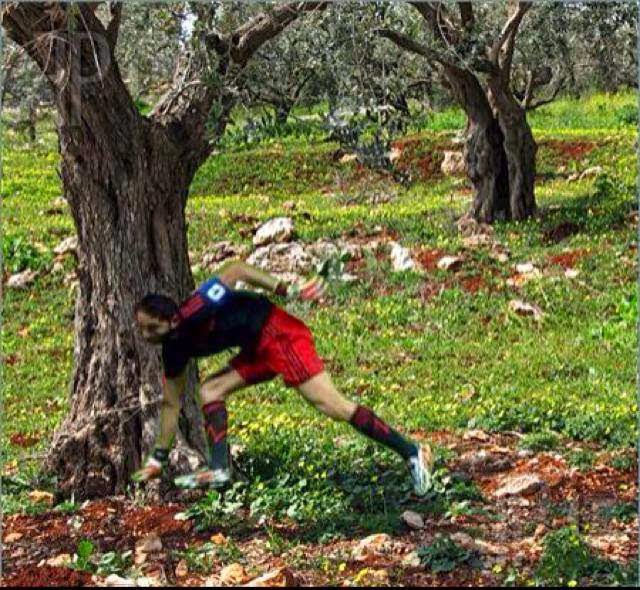 Los mejores memes de Cuy Corona y el Temo. ~ Noticias