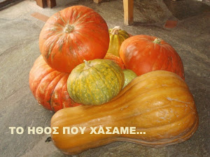TΟ ΗΘΟΣ ΠΟΥ ΧΑΣΑΜΕ...: Υφασματοποιήματα...
