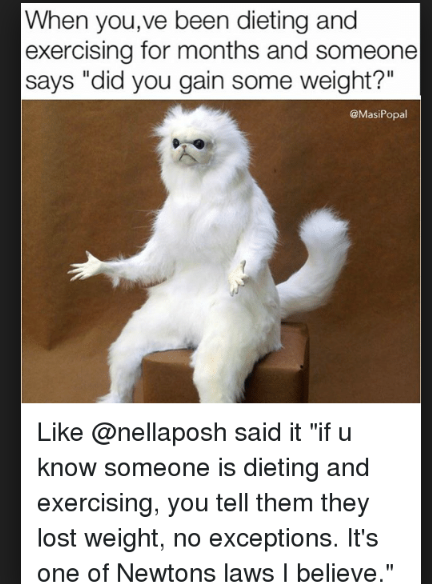 Did you just call me FAT?