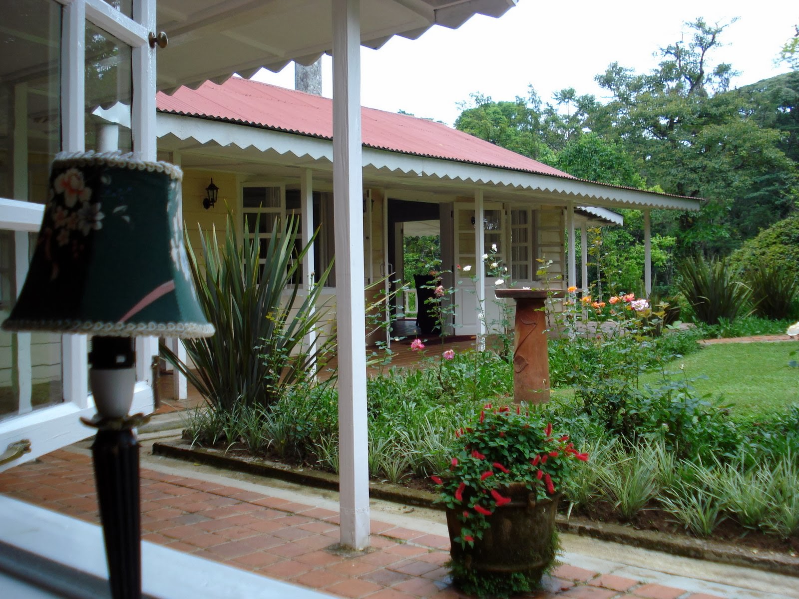 Jon and Marianne Hunter in Kenya: Rondo Retreat in Kakamega Forest
